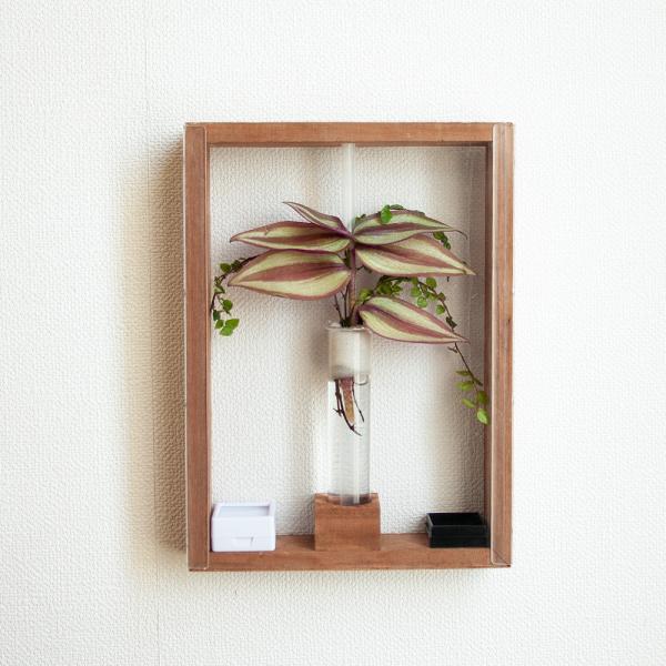 ヤマトヒバリが飼育できる！　小型鳴き虫用アートフレームＤＩＹキット　ダークブラウン　産卵植物付き　4582645941321　昆虫　鳴き虫　飼育セット　飼育キット　ＤＩＹ　作成キット　カンタン　クサヒバリ　ヒバリモドキ　ヤマトヒバリ　アート...