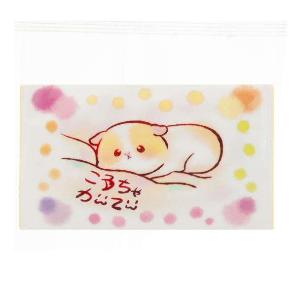 naisyoku_syukei　_animal　hwlist_tgm　小動物　モルモット　モル　ラテ　モカ　こうちゃがーでん　グッズ ステッカー　hw1fszlist　20240906　ｙ24ｍ09 MI　hw01didlist