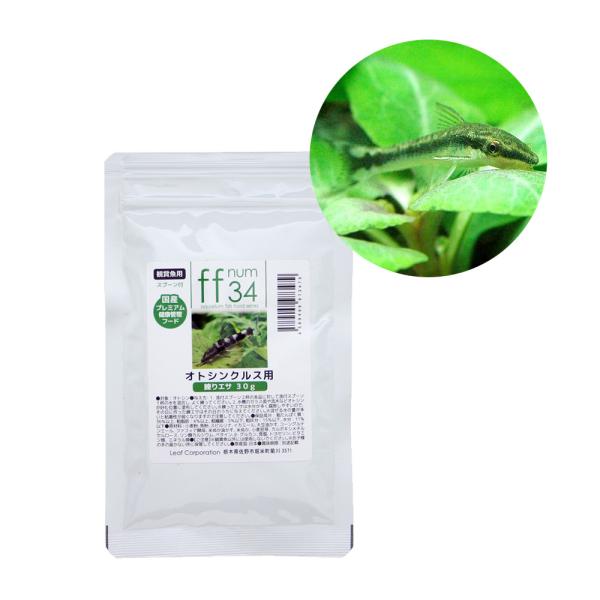 熱帯魚・エビ他　オトシン・ロリカリア　オトシン　オトシンクルス　６匹　定番コケ対策　厳選水草用お勧め商品　食べさせる　水槽壁面のコケを綺麗にする　コケ取り生体　ビギナーにオススメ　初心者　苔対策　こけ対策　アクアリウム用品　ff_num　f...