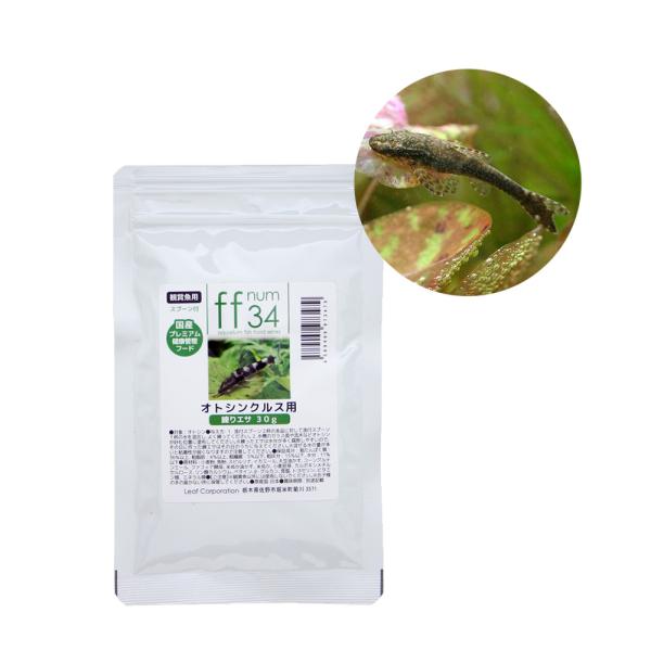 熱帯魚・エビ他　オトシン・ロリカリア　オトシン　オトシンネグロ　３匹　オトシンの仲間　ビギナーにオススメ　定番コケ対策　【コケ対策】食べさせる　水槽壁面のコケを綺麗にする　コケ取り生体　淡水生体　苔対策　こけ対策　オトシンクルスネグロ　アク...