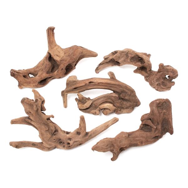 形状お任せ　煮込み済み　上質流木　雅〜みやび〜　Ｓサイズ（約１５〜２５ｃｍ）　５本　レイアウト素材　流木　石　アクア用品　レイアウト　素材　熱帯魚　アクアリウム　パルダリウム　コケリウム　アクアテラリウム　水槽用アクセサリ　隠れ家　かくれが...