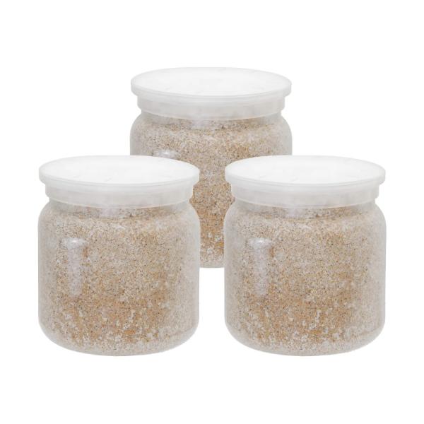 メーカー：月夜野きのこ園 coollogist　夏季クール対応　菌糸ビン　月夜野きのこ園　ＥＰ−１４００　オオヒラタケ　菌糸　１400ｃｃ　クヌギ　コナラ　昆虫　甲虫　クワガタ　クワガタムシ　クワ　オオクワガタ　幼虫　飼育用品　飼育　ブリー...