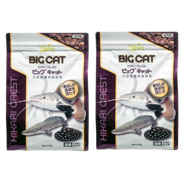 メーカー：キョーリン アクアリウム用品　アクア用品　餌　タブレット　スティック　キョーリン　ひかりクレスト　ビッグ　キャット　５７０ｇ　肉食魚　えさ　20140607　底棲　ナマズ　大型　4971618285461　キョーリンひかりシリーズ...