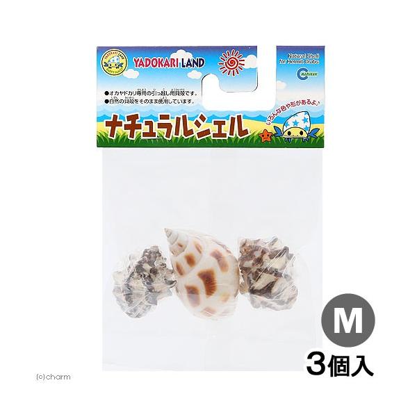 メーカー：マルカン _animal　_aqua　_insect　マルカン　ナチュラルシェルＳ　ＮＡＫＧ　ナチュラル　シェル　オカヤドカリ　ヤドカリ　天然貝殻　天然　貝殻　貝　引っ越し　引越し　Ｓ　Ｓサイズ　スモール　ｓｍａｌｌ　490645...