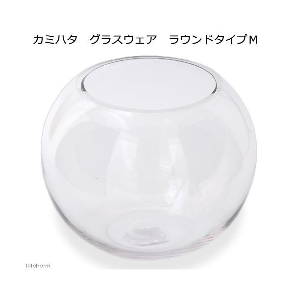 メーカー：カミハタ アクアリウム用品　kjKPkin　tmKPkin　カミハタ　グラスウェア　Glass　Ware　ラウンドタイプＭ　4971664625983　アクア用品　レイアウト　グラスアクア　インテリア　園芸用品　ガーデニング　メダ...