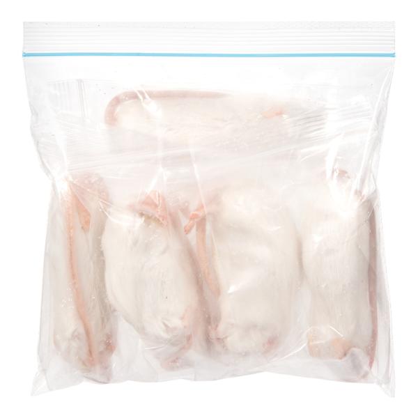 メーカー：ポゴナクラブ ポゴナクラブ　リタイアマウス　約４９〜ｇ　１０匹入り　冷凍マウス　冷凍　マウス　冷凍エサ　オオトカゲ　モニター　トカゲ　ヘビ　コーンスネーク　ボールパイソン　子ヘビ　ベビー　エサ　えさ　餌　フード　ポゴナ　POGON...