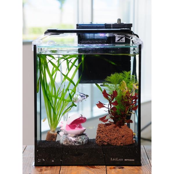 メーカー：用品+生体植物セット コトブキ工芸　水槽セット　レグラス　Ｆ−２５０ＳＨ／Ｂ　ＬＥＤセットＺ３０　小型水槽　熱帯魚　金魚　メダカ　水槽　メダカ水槽　コトブキ　レグラス　寿　KOTOBUKI　スターターセット　スタートセット　飼育セ...