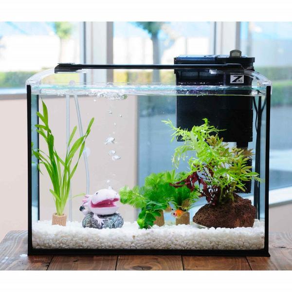 メーカー：用品+生体植物セット コトブキ工芸　水槽セット　レグラス　F-400SH/B　LEDセットZ30　小型水槽　熱帯魚　金魚　メダカ　水槽　メダカ水槽　コトブキ　寿　KOTOBUKI　スターターセット　スタートセット　飼育セット　飼育...