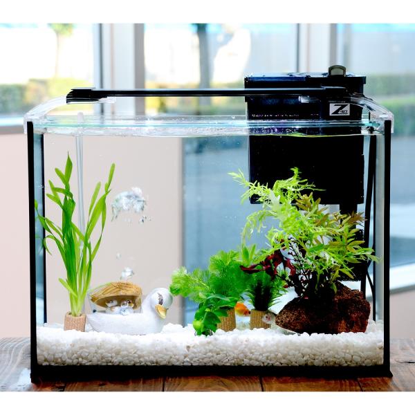 メーカー：用品+生体植物セット コトブキ工芸　水槽セット　レグラス　F-400SH/B　LEDセットZ30　小型水槽　熱帯魚　金魚　メダカ　水槽　メダカ水槽　コトブキ　寿　KOTOBUKI　スターターセット　スタートセット　飼育セット　飼育...