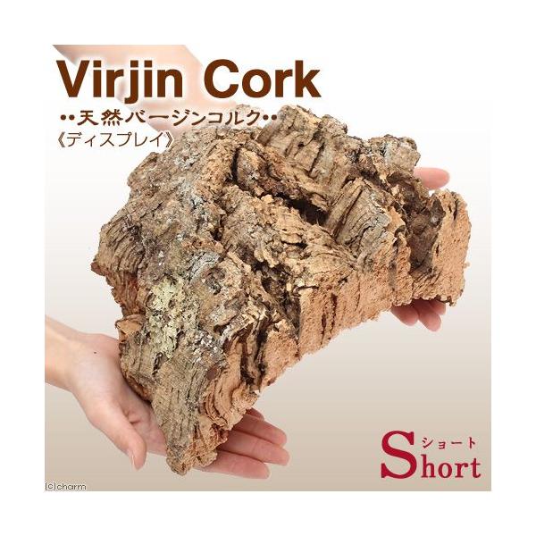 ガーデニング　園芸用品　鉢　ディスプレイ用品　ディスプレイ小物　MS34　ディスプレイ　爬虫類　レイアウト　レイアウト用品　ビバリウム　１２コンテナ　corkitem_series　corkitem_flower_series　201501...