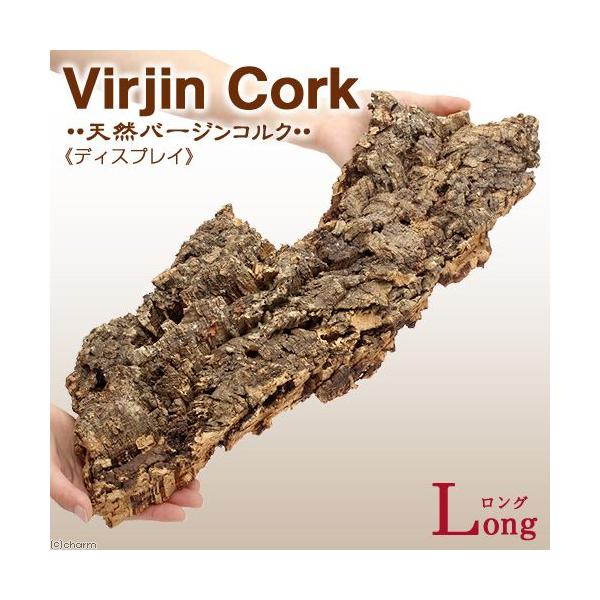 鉢　植木鉢　ガーデニング用品　ガーデニング　園芸用品　ディスプレイ用品　ディスプレイ小物　ディスプレイ　MS34　爬虫類　レイアウト　レイアウト用品　ビバリウム　１２コンテナ　corkitem_series　corkitem_flower_...