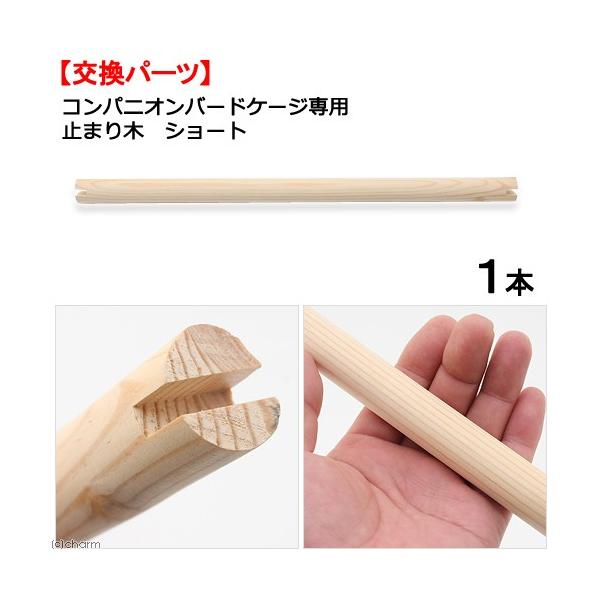 メーカー：(株)リーフ Leaf Corp _animal　コンパニオンバードケージ専用　止まり木　ショート　１本　kanada_konpa　交換用パーツ　20170202　TKG　カナダペット　鳥かご　ゲージ　opa2_delete