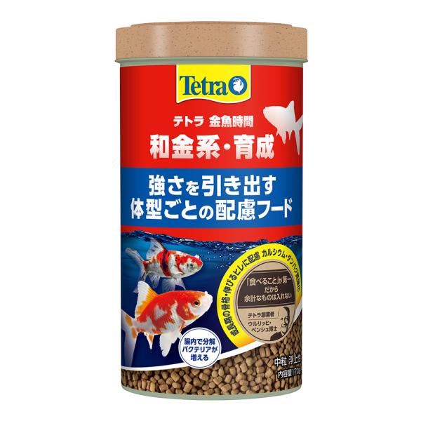メーカー：テトラ テトラ　金魚時間　和金系　育成　中粒　１７０ｇ　4004218331617　アクア用品　アクア　アクアリウム　アクアリウム用品　金魚　金魚の餌　餌　えさ　フード　飼料　ご飯　ごはん　和金　育成用　顆粒　浮上　浮上性　浮く　...