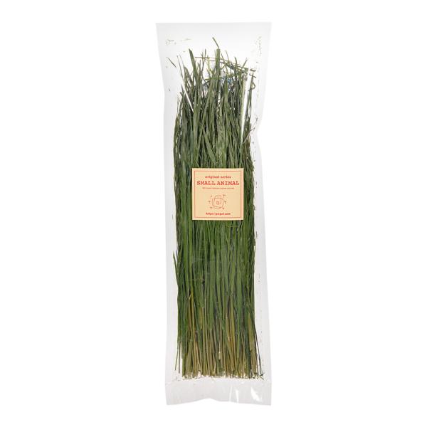 メーカー：ピーツー カナリーシードの穂　４０ｇ　4904769301179　小動物　小動物用品　小鳥　シード　カナリヤ　カナリア　文鳥　小型インコ　中型インコ　素材　そのまま　乾燥　草食　草食系小動物　副食　おやつ　間食　ご飯　ごはん　フー...