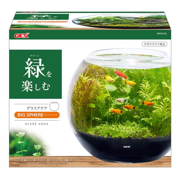 メーカー：ジェックス ＧＥＸ　グラスアクアビッグ　スフィア　テラリウム　4972547047298　アクアリウム　アクアリウム用品　ベタ　メダカ　観賞魚　コケ　苔　水草　ボトリウム　グラス　水槽　小型水槽　ジェックス　小型　容器　ガラス水槽...
