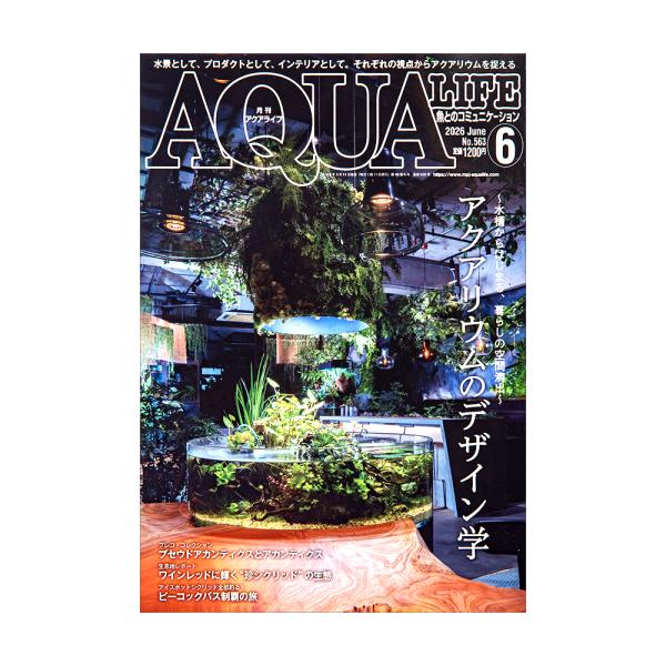 メーカー：エムピージェー アクアライフ　6月号(2026)　4912014550661　アクアリウム　アクアリウム用品　アクア用品　アクア　書籍　定期刊行誌　一般　AQUA　LIFE　エムピージェー　本　魚　水草　観賞魚　淡水　海水　淡水魚...