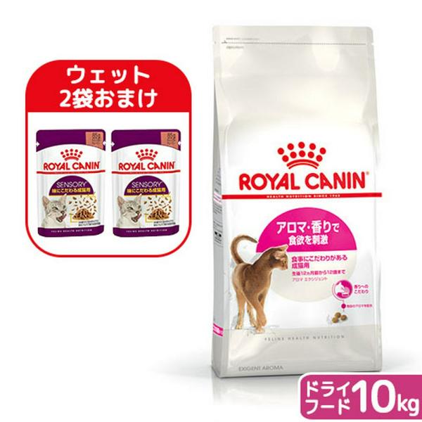 メーカー：ロイヤルカナン catbig5　3182550767361　猫フード　ドライフード　ロイヤルカナン　royalcanin　20100922　ＤＦ　cat_predry　プレミアムフードroma_catfood　sfset　_nek...