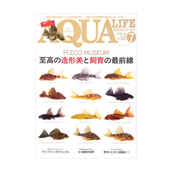 メーカー：エムピージェー アクアライフ　７月号（２０２６）　4912014550760　20260616　ｙ26ｍ06　cngc　アクアリウム　アクアリウム用品　アクア用品　アクア　書籍　定期刊行誌　一般　AQUA　LIFE　エムピージェー...