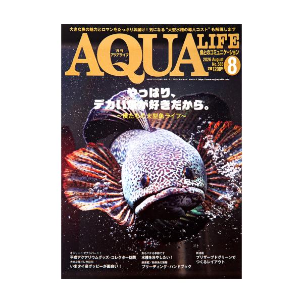 メーカー：エムピージェー アクアライフ　８月号（２０２６）　4912014550869　20260718　y26m07　mikari　アクアリウム　アクアリウム用品　アクア用品　アクア　書籍　定期刊行誌　一般　AQUA　LIFE　エムピージ...