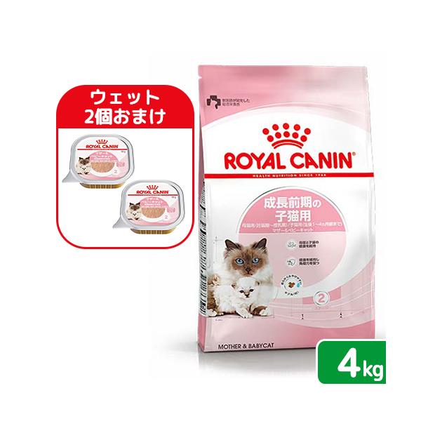メーカー：ロイヤルカナン 3182550707329　猫フード　ドライフード　ロイヤルカナン　FHN　マザー&amp;ベビーキャット　成長前期の子猫用　4kg　royalcanin　DF　koneko_predry　プレミアムフード　_ko...