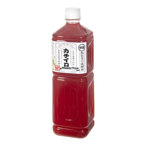 メーカー：スカディ 特濃　褐色光合成細菌　カチイロ　お徳用１０００ｍｌ　バクテリア　濃縮　濃縮タイプ　PSB　メダカ　色揚げ　カロチノイド　飼育水　水質　水質調整剤　餌　えさ　エサ　元気　水　アクアリウム　幼魚　ビオトープ　ベビー　小魚　4...