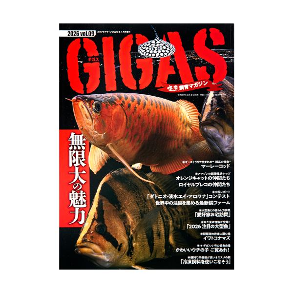 メーカー：エムピージェー 怪魚飼育マガジン　ＧＩＧＡＳ（ギガス）　２０２６　ｖｏｌ．０９　4912014560462　20260908　ｙ26ｍ09　cngc　アクアリウム　アクアリウム用品　アクア用品　aqua　書籍　本　雑誌　飼育本　専...