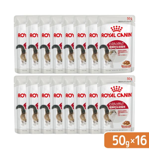 メーカー：ロイヤルカナン 猫フード　ウェットフード　ロイヤルカナン　royalcanin　猫　FHN―WET　インスティンクティブ　1〜10歳　健康的な成猫用　85g　_neko　フィーライン　ヘルス　ニュートリション　ウェット　rcn_c...
