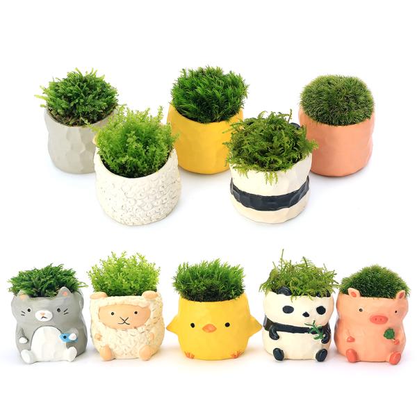 _interior　_gardening　ガーデニング　山野草　寄せ植え　kokebonsai　植物　植物生体　ガーデニング生体　039_list　アニマルプランター　ネコ　猫　3619-B　4530254098936　園芸用品　趣味　花　...