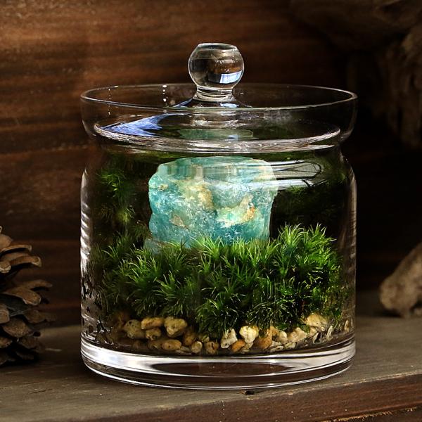 line2462terarium　interioraquastone　koketera　terrarium　テラリウム　テラリウムガラス　テラリウムキット　ガーデニング　観葉植物　苔テラリウム　コケテラリウム　苔盆栽　グラスアクア　インテリ...