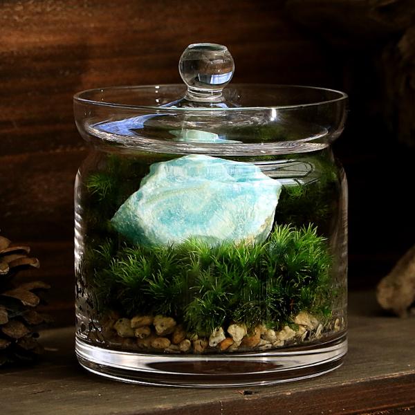 line2462terarium　interioraquastone　koketera　terrarium　テラリウム　テラリウムガラス　テラリウムキット　ガーデニング　観葉植物　苔テラリウム　コケテラリウム　苔盆栽　グラスアクア　インテリ...