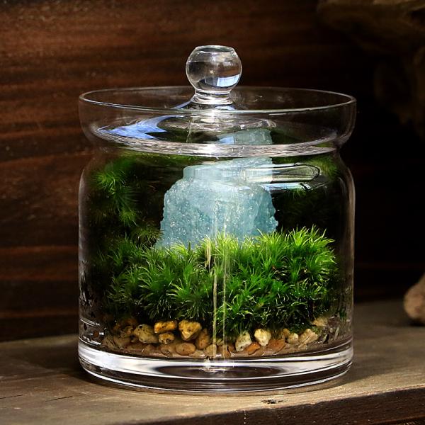 line2462terarium　interioraquastone　koketera　terrarium　テラリウム　テラリウムガラス　テラリウムキット　ガーデニング　観葉植物　苔テラリウム　コケテラリウム　苔盆栽　グラスアクア　インテリ...