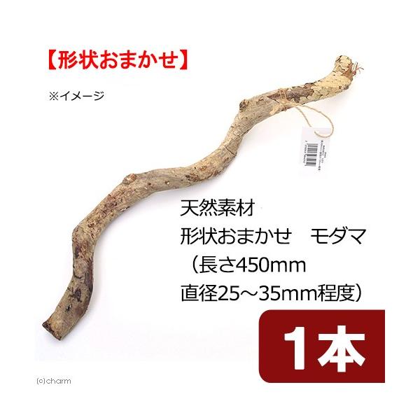 line250910p510anim　_kame　_hachu　naisyoku_syukei　_animal　小動物　１２コンテナ　Leaf　Corp　hwlist　tennenwood07　天然素材　藤の木　トンネル　吊り下げ　大　藤　...