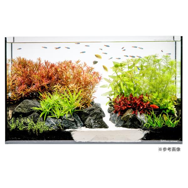 熱帯魚　水草セット0809　水草　セット　レイアウト　　石　風山石　水中葉all_plants　wp_kywrd　reiauto01　ccampain1912800_wp　p5mizbrk2305　20251128 2025tuuki y2...