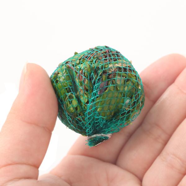 水草　熱帯魚　_aqua　寄せ植えミックス　セット　寄せ植え　水草・流木・石　浮く　メダカ　稚魚隠れ家　産卵　産卵床　バルーン　巻きたて　y21m01　2021zenki　20210114　YH　浮き玉　point5wplants