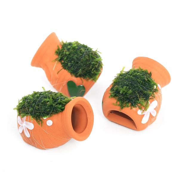 熱帯魚・エビ他　活着する水草　水草　コケ　モス類　南米ウィローモス　南米　ビバリウム　アクアテラリウム　モス　ハイゴケ科　ｈｙｐｎａｃｅａｅ　多目的シェルター　ヴェシクラリア属　ｖｅｓｉｃｕｌａｒｉａ　エビ用水草　置くだけ簡単　レッドビーシ...