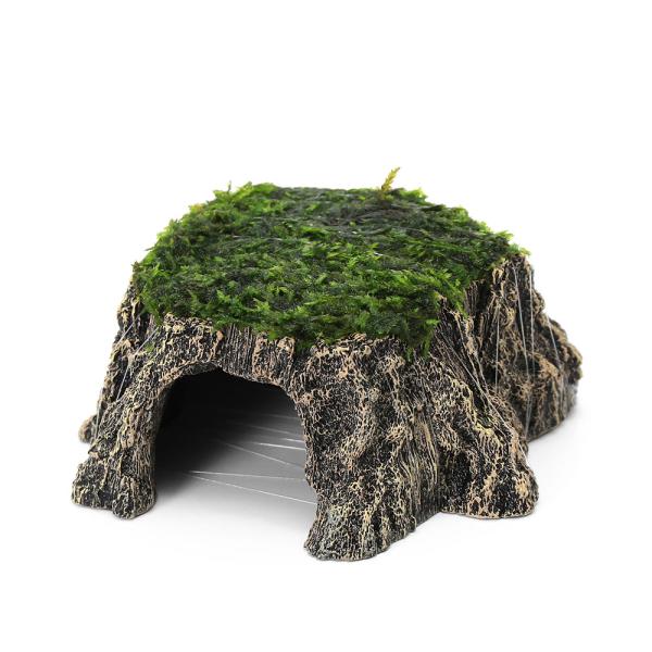 水草　エビ用水草　置くだけ簡単　水草アクセサリー　オブジェクト　トンネル流木　切株　スタンプ　シェルター流木　コケ　モス類　苔　モス　おまかせモス　46house　y23m11　20231113　2023kouki　JA　catmosscr...