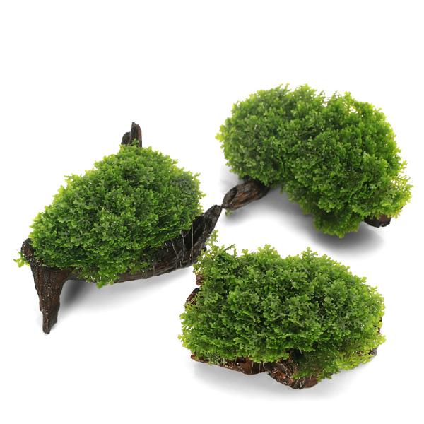 PF_SPQ　熱帯魚　_aqua　水草　コケ　モス類　all_plants　wp_kywrd　プレミアムモス　プレモス　モスｓｐ　premoss　_auqa　流木　　greenplants　　育成済　プレミアムグリーンモス付　カット流木　ミ...