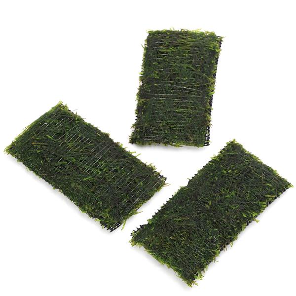 熱帯魚　_wp　_aqua　ビギナーにお勧め　水草付き流木　エビ用水草　ウィローモスはこちら　ろ材素材はこちら　ライフモスグッズはこちら　ろ材素材小はこちら　CO2なしでも育つ水草　水草ハウス　all_plants　ウィローモス　ライフKM...