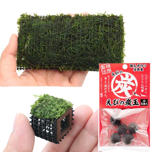 _wp　_aqua　ビギナーにお勧め　水草付き流木　エビ用水草　ウィローモス　CO2なしでも育つ水草　水草ハウス　all_plants　エビが喜ぶアクセサリ　稚エビ　隠れ家　育成セット　NMIYA　ｙ25ｍ11　ｙ25ｍ12　2025tuu...