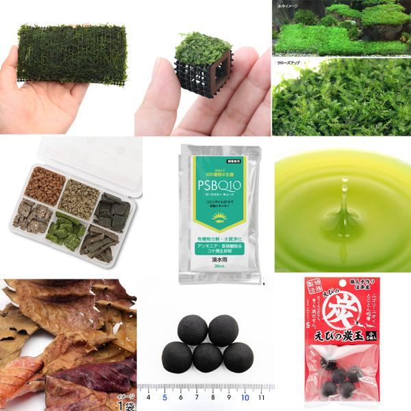 _wp　_aqua　ビギナーにお勧め　水草付き流木　エビ用水草　ウィローモス　CO2なしでも育つ水草　水草ハウス　all_plants　エビが喜ぶアクセサリ　稚エビ　隠れ家　育成セット　20251114　NMIYA　y25m11　2025t...