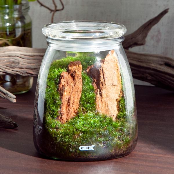 interioraquabottol　ジェックス　観葉植物　レイアウト済　ＧＥＸ　4972547032591　ガラス　容器　ガラス容器　ボトル　ボトルアクア　ボトルアクアリウム　ガラス製　苔テラリウム　コケテラリウム　ガーデニング　園芸用品...