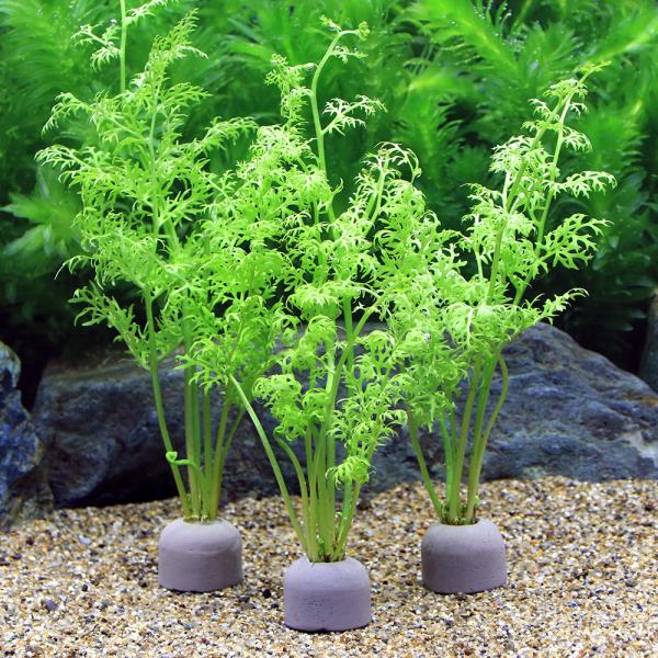 熱帯魚　_wp　_aqua　水草　後景草　ギザギザ　アメリカンウォータースプライト　１個　ＭＩ　マルチリング　ブラック　20161213　ＴＳ　p5mizbrk2305　ゼオライトリング　グレー　zeoliteringplants　2025...