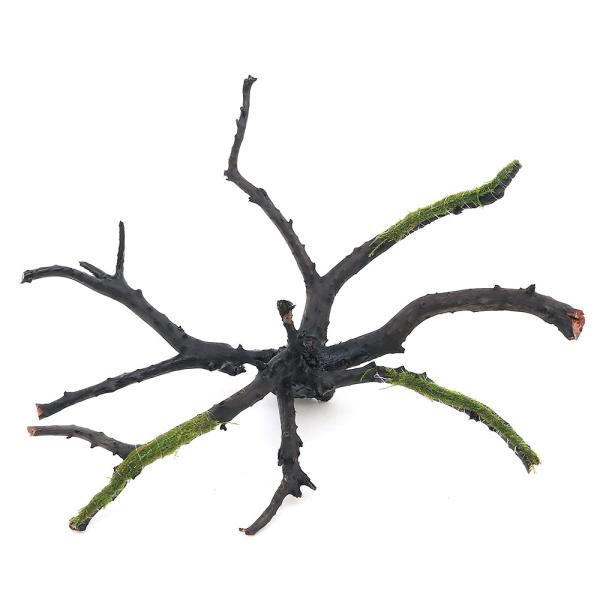 熱帯魚　水草付き流木　巻きたてはこちら　エビ用水草　水草　モス／シダ付流木　all_plants　バブルモス　バブル　気泡　YN　2023zenki　catmosscreate2022bubble　20221210　y22m12　ヤナギゴケ...