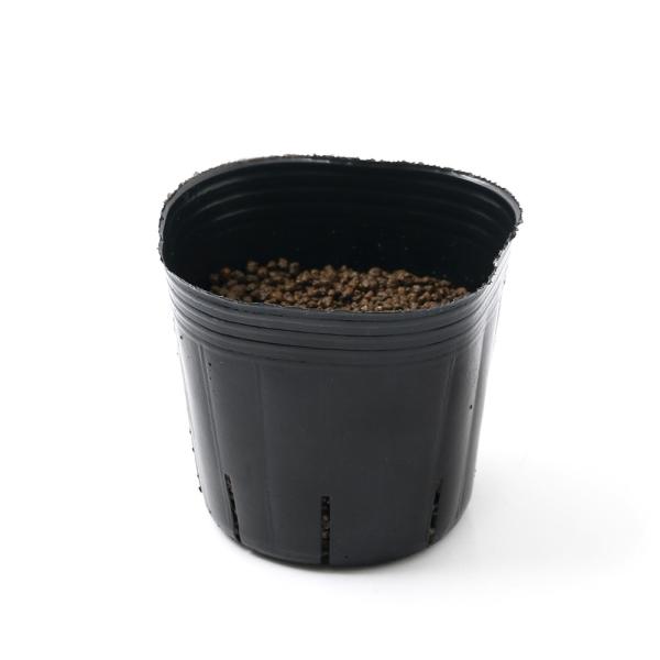 観葉植物　_dog　_neko　_gardening　movie_1146129　_animal　pet_glass　opa2_delete　PetGrassSeries　猫フード　ガーデニング　犬用品　サプリメント　猫草　ペットグラス　え...