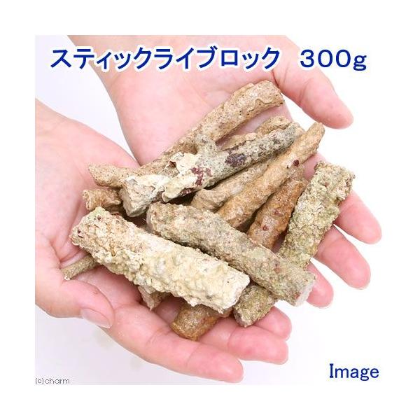 ◎　kaisui71　海水　ライブロック　20120808　ＡＨ　lr_stpd　ma_juhsdfbjh　tuikas1004　winter_modeLR　muryotassei_900_999　_kaisui　_aqua　LR71　cx...