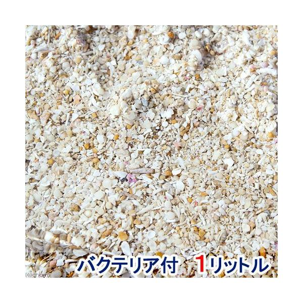 ◎　アクア用品　海水　サンゴ砂　ｐＨ　ＫＨ　ＡＬ　安定　ライブサンド　立ち上げ　水質　バクテリア付き　約１Ｌ　ばくとさんど　海水水槽用底砂　20131107　ＯＳＨ　alago_bact11　_aqua　alago140313　kaisui...