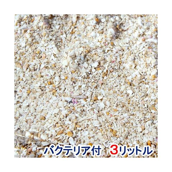 ◎　アクア用品　海水　サンゴ砂　ｐＨ　ＫＨ　ＡＬ　安定　ライブサンド　立ち上げ　水質　バクテリア付き　ばくとさんど　約３Ｌ　海水水槽用底砂　20131107　ＯＳＨ　alago_bact11　_aqua　alago140313　kaisui...