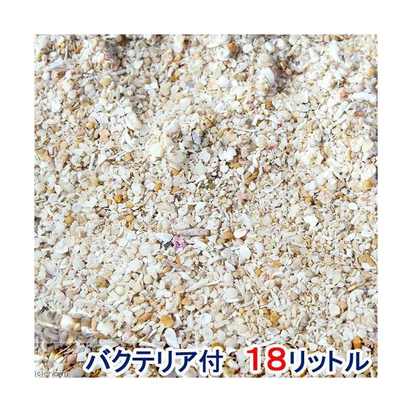 sfset　◎　アクア用品　海水　サンゴ砂　ｐＨ　ＫＨ　ＡＬ　安定　ライブサンド　立ち上げ　水質　バクテリア付き　約１８Ｌ　ばくとさんど　海水水槽用底砂　20131107　ＯＳＨ　alago_bact11　_aqua　kmwr_aqa_ma...