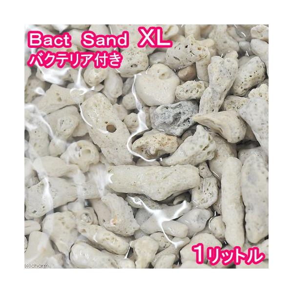 ◎　Ｂａｃｔ　Ｓａｎｄ　ばくとさんどシリーズ　サンゴ砂　ばくとさんど　海水　アクア用品　底砂　ていしょう　床　ろ材　ウールマット　バクテリア付きろ材　ＬＬＬ　大粒　珊瑚砂　sand_bact1219　20131219　OSH　pt10_ba...