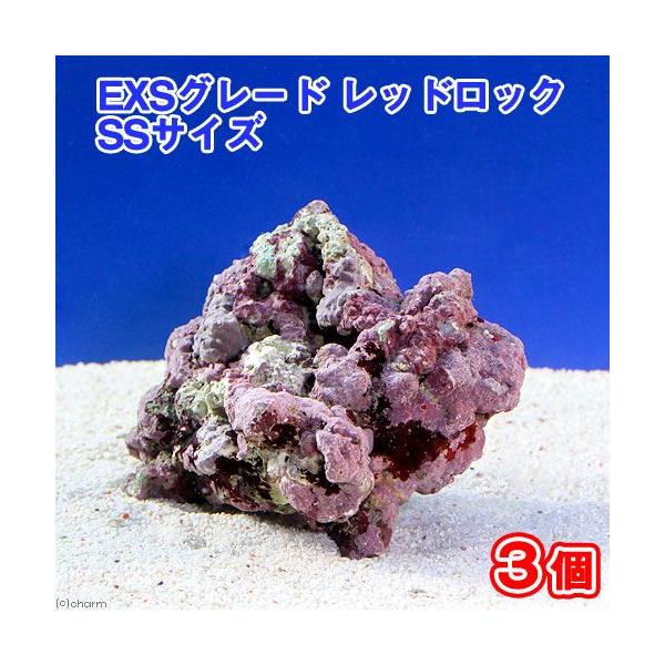 sfset　_aqua　◎　kaisui71　海水　ライブロック　tuikasp_ma1008　winter_modeLR　LR71　石灰藻　Ｓグレード　lr_sss　ＨＩＮ　20140914　lr_mgw_toca1201　lr_mgw_...